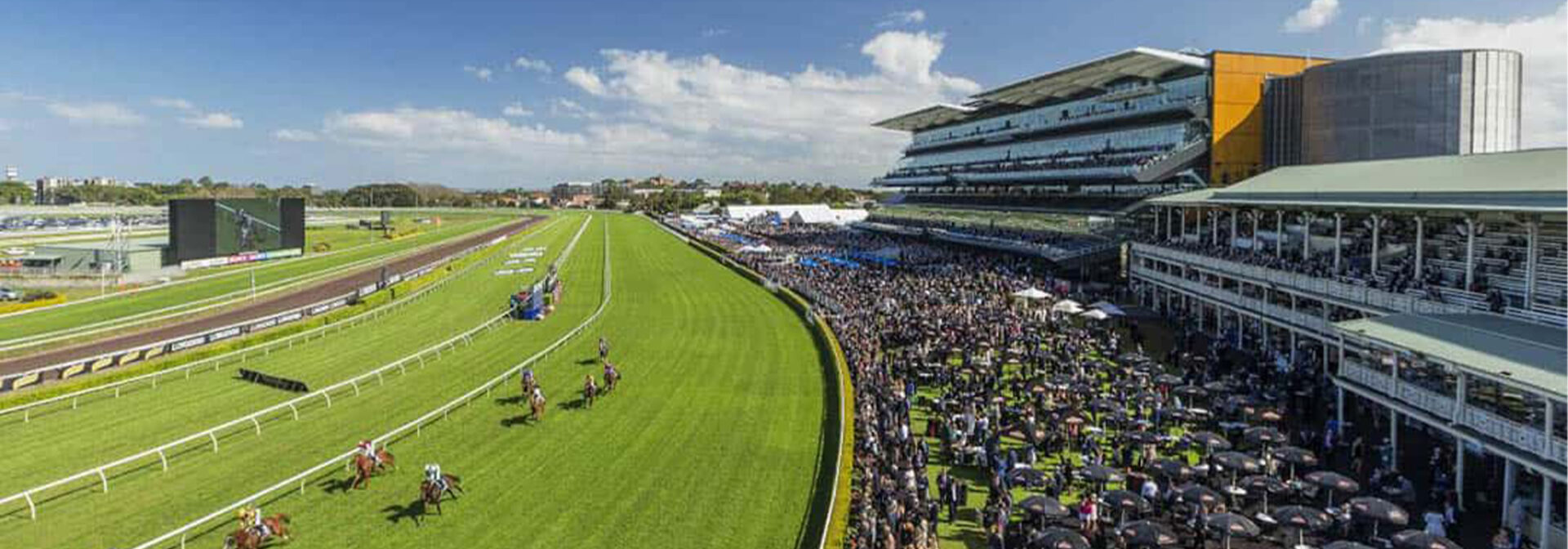 WINX Stand | Masterflow